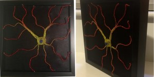 Bridging science, art and society – SciArt that’ll make you feel Smart
