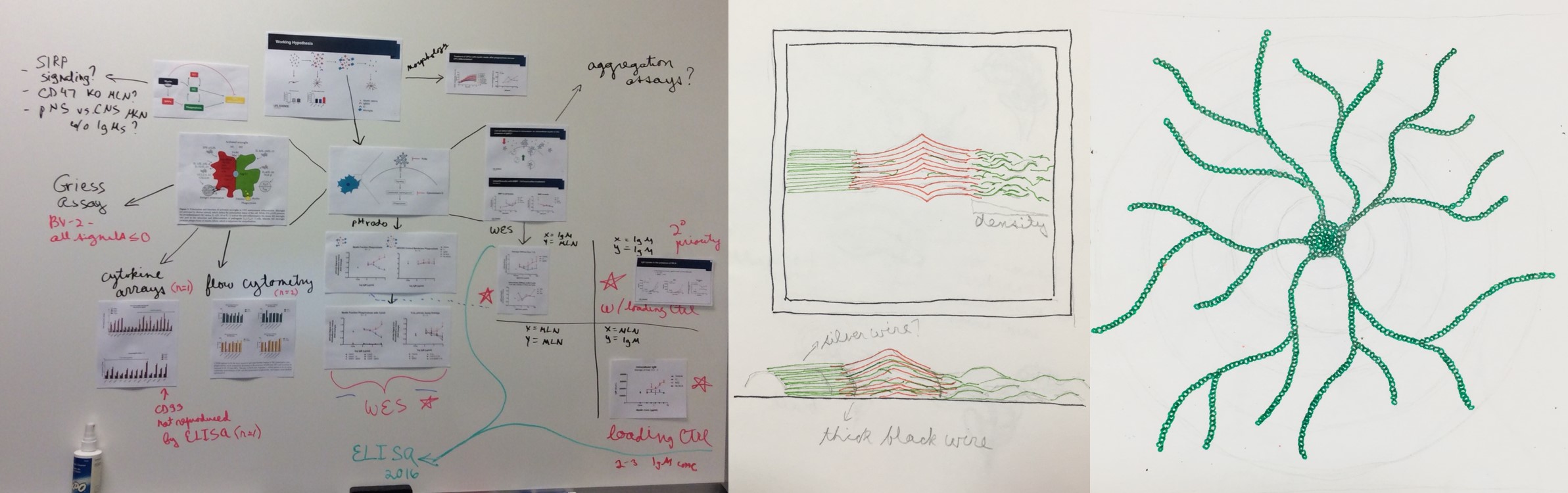 Scientist’s lab notebook vs. artist’s sketchbook – SciArt that’ll make ...