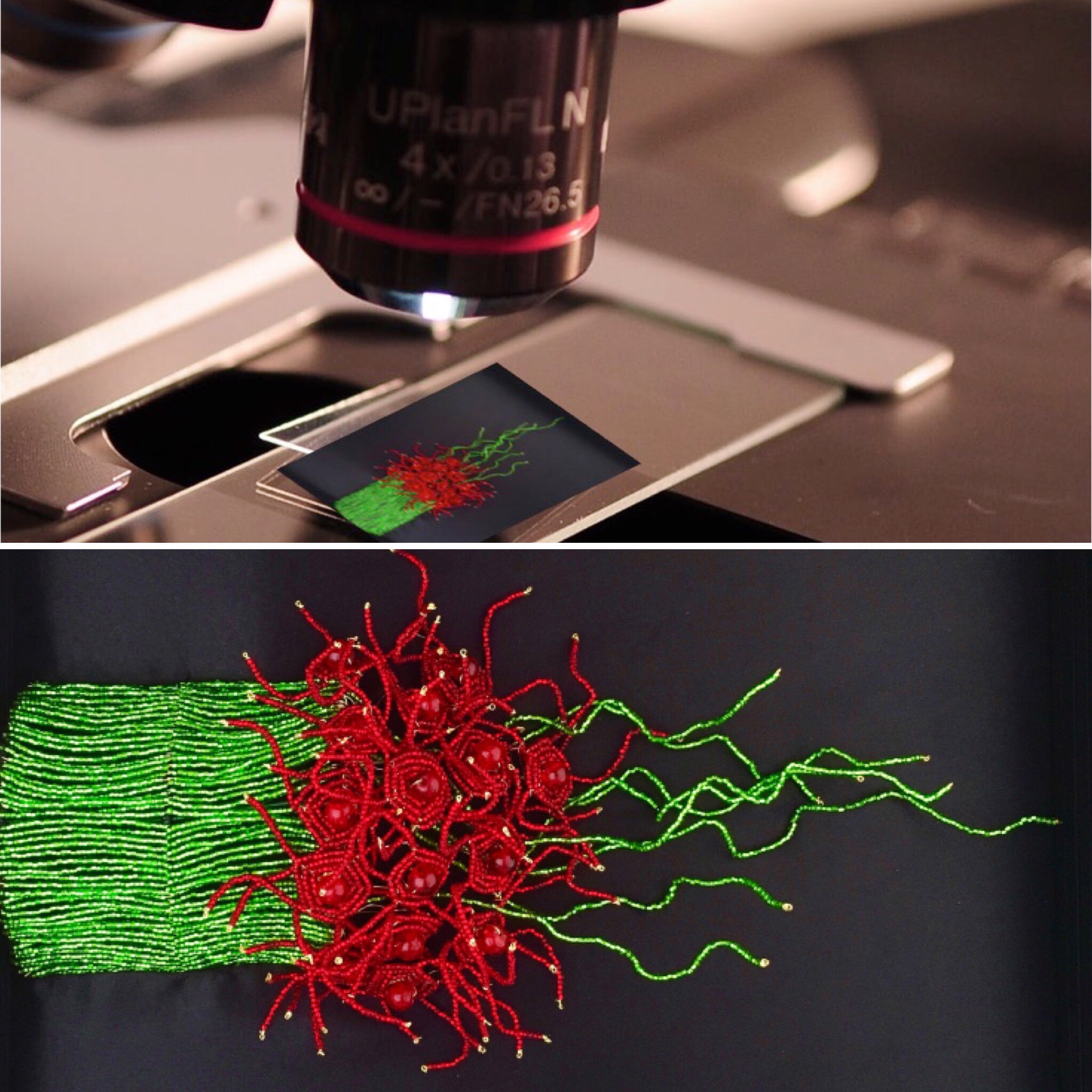 How do you make people see science behind the art? – SciArt that’ll ...