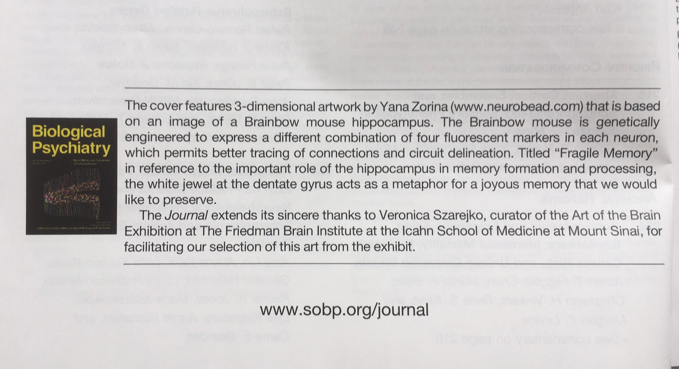 My artwork “Fragile Memory” made the cover of Biological Psychiatry ...