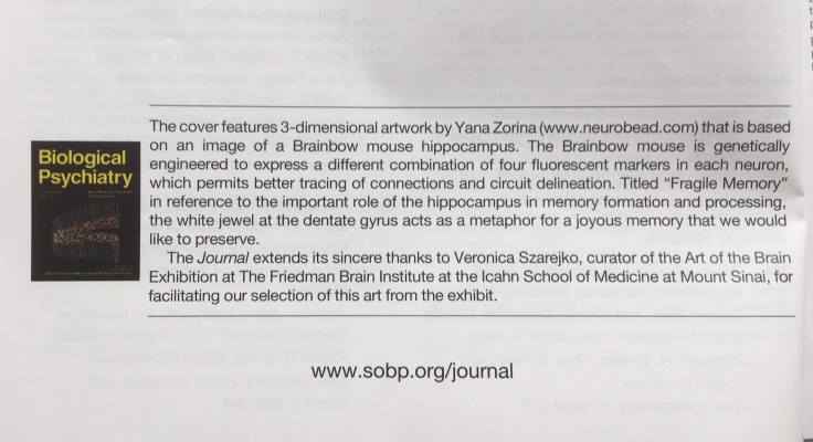 My artwork “Fragile Memory” made the cover of Biological Psychiatry ...