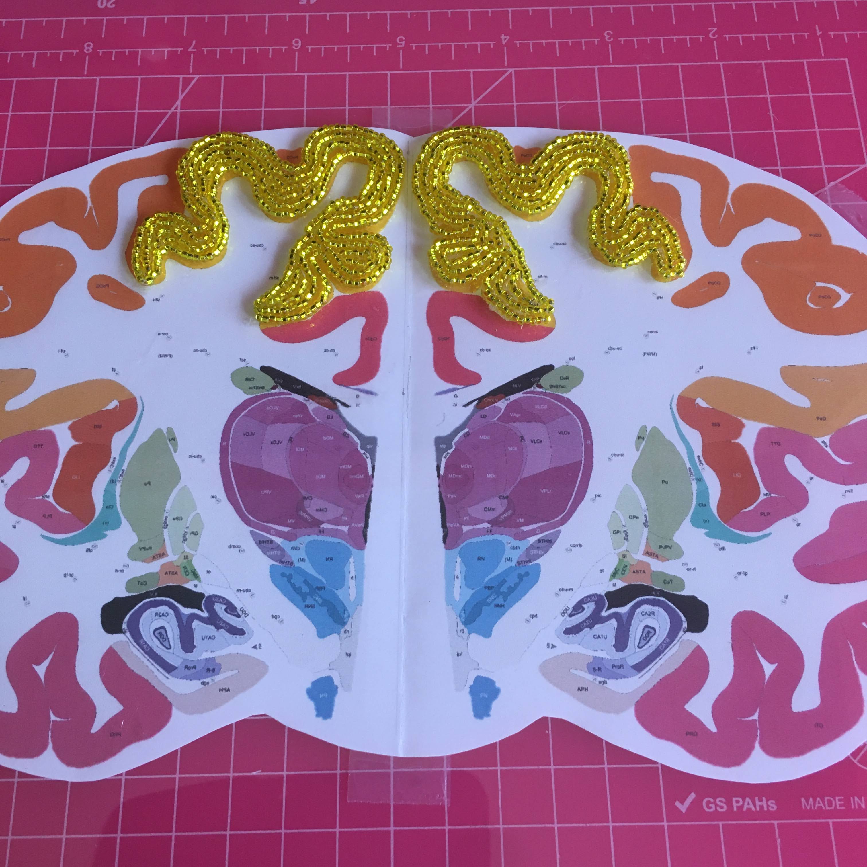 My new brain art project is off to the races! – SciArt that’ll make you ...