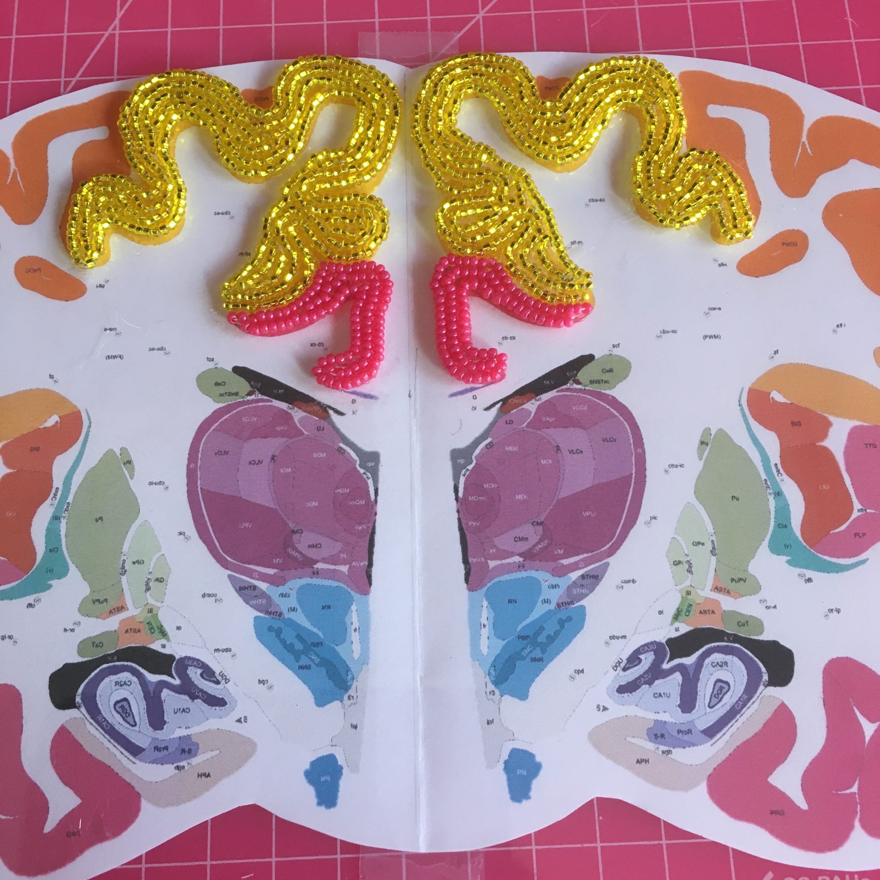My new brain art project is off to the races! – SciArt that’ll make you ...