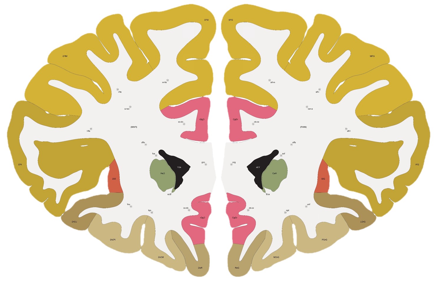 The brain sculpture is finally finished! – SciArt that’ll make you feel ...