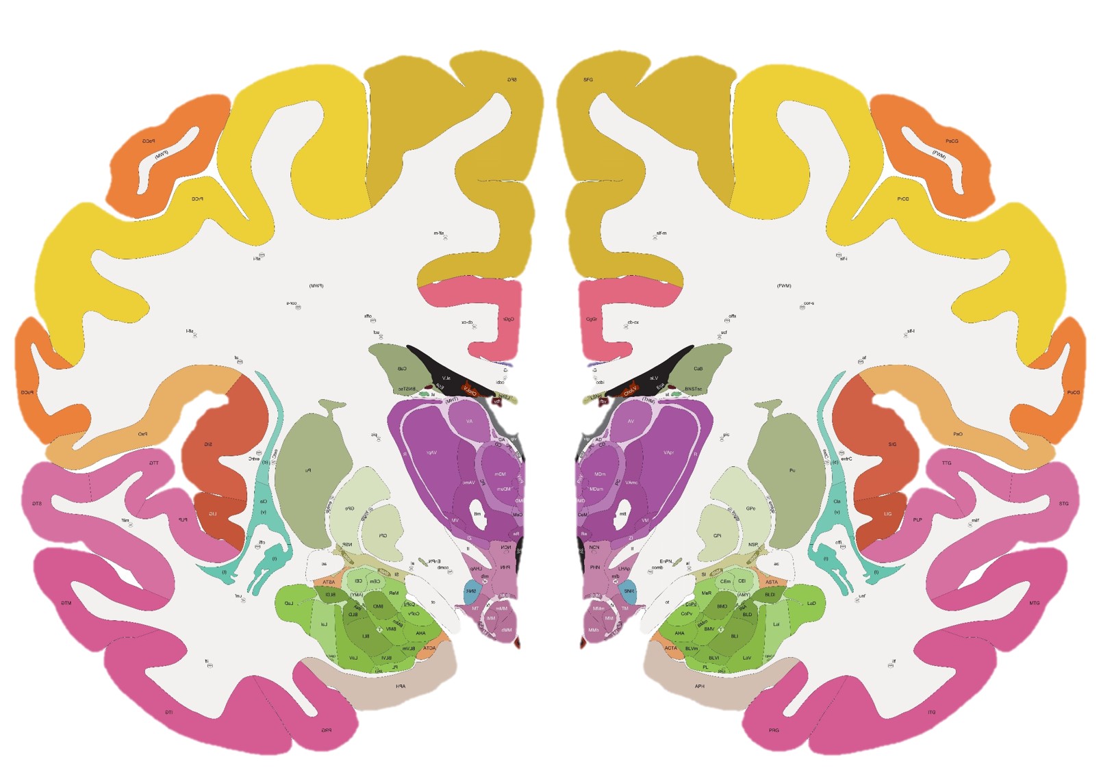 The brain sculpture is finally finished! – SciArt that’ll make you feel ...