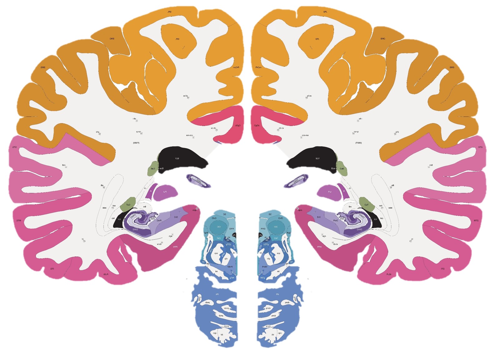 The brain sculpture is finally finished! – SciArt that’ll make you feel ...