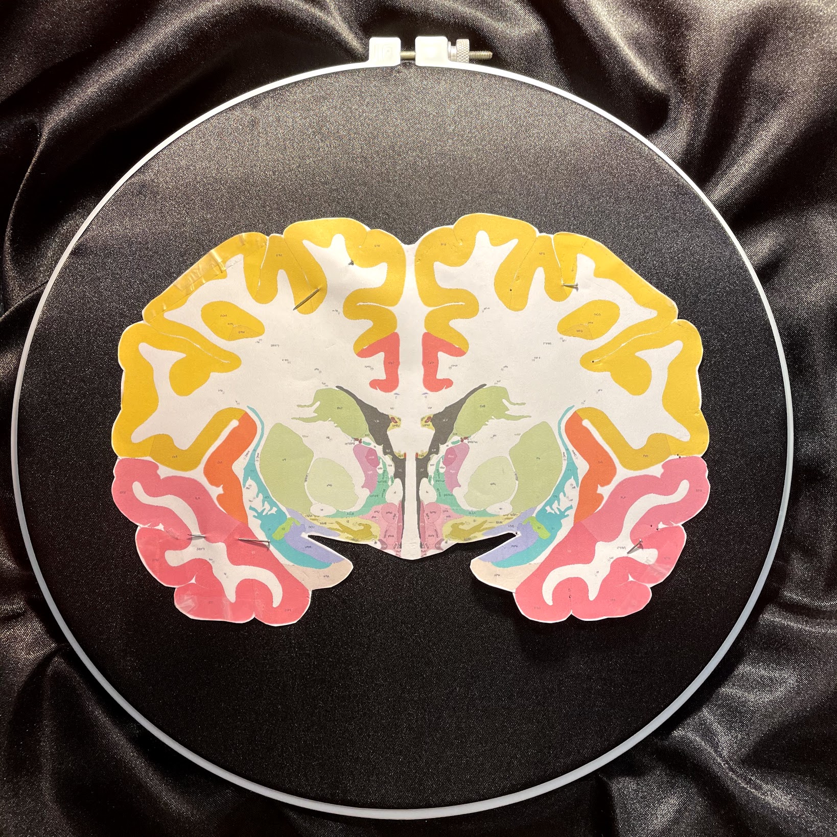 Slowly but surely the brain is emerging – SciArt that’ll make you feel ...